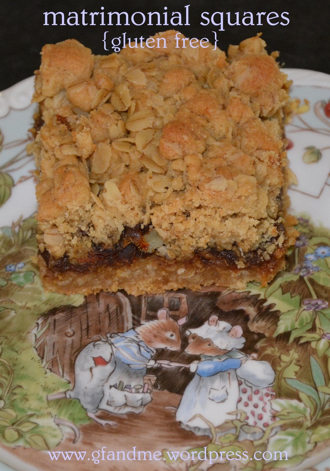 gluten free matrimonial square or date square
